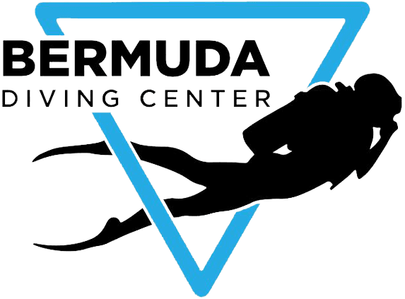 Open Sea Scuba Diving by Speedboat - AED 450 | PADI Courses | Bermuda ...