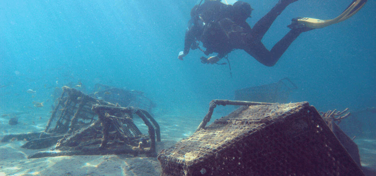 Search and Recovery - AED 1,899 | PADI Courses | Bermuda Diving Center