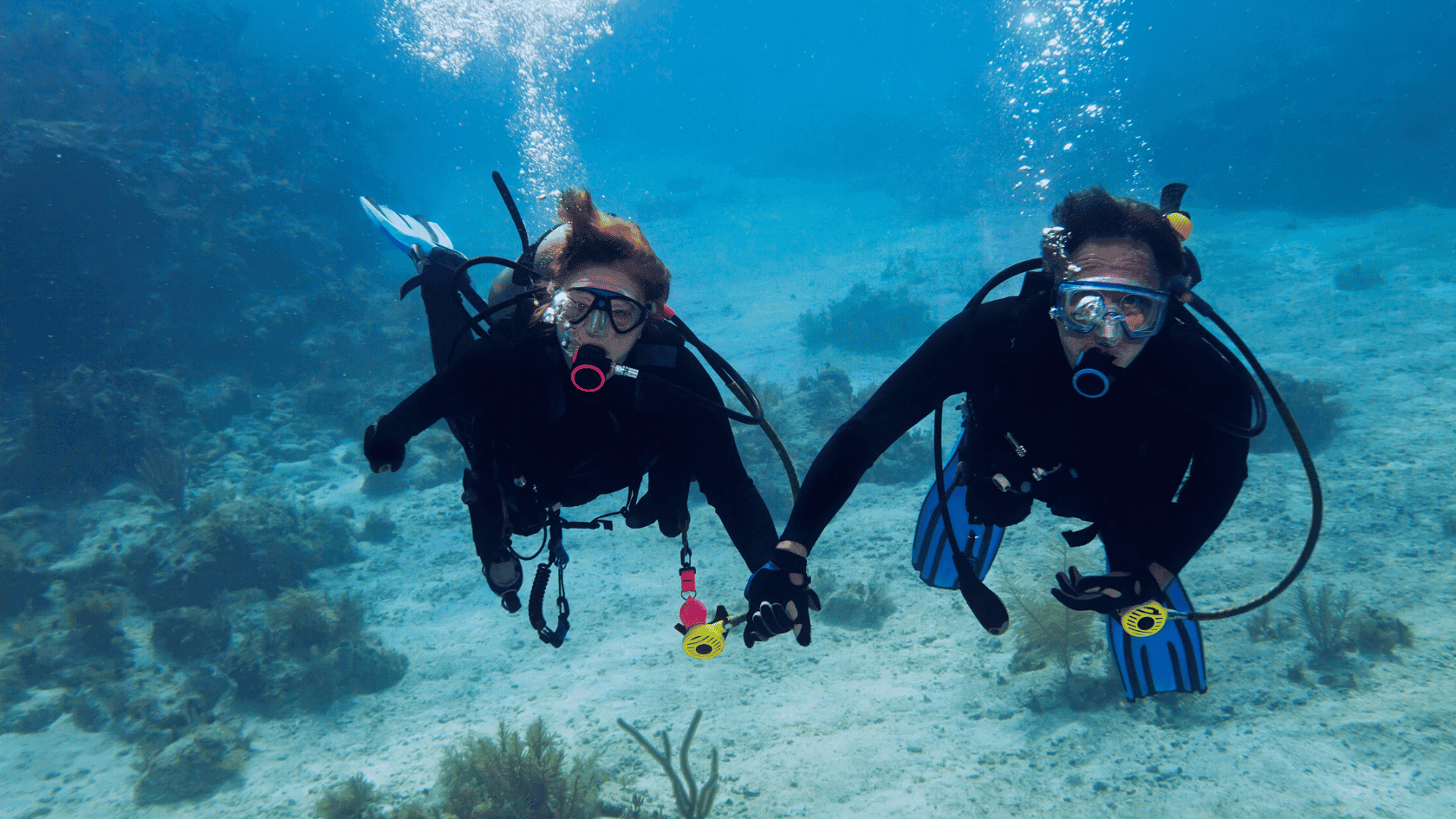 TRY DIVE - LUXURY (AED 499) | PADI Courses | Bermuda Diving Center