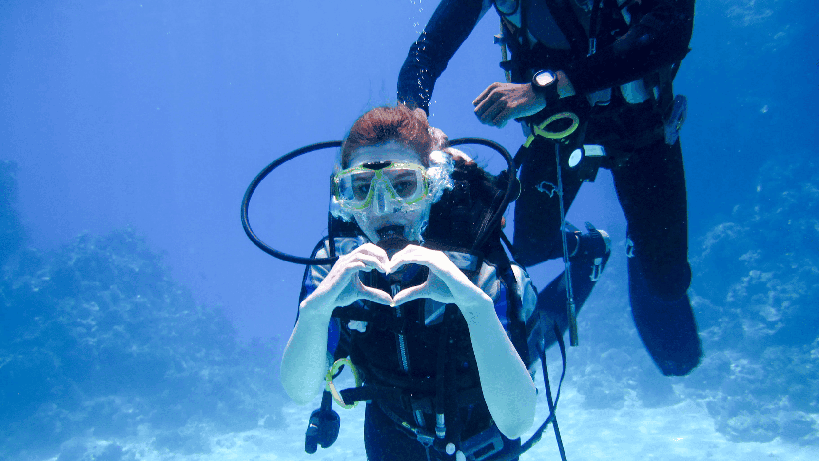 TRY DIVE - VIP (AED 599) | PADI Courses | Bermuda Diving Center